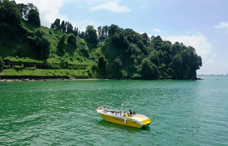 Black Sea: Magnetic Beach and Batumi Botanical Garden Tour - Comfortable Accommodations & Logistics