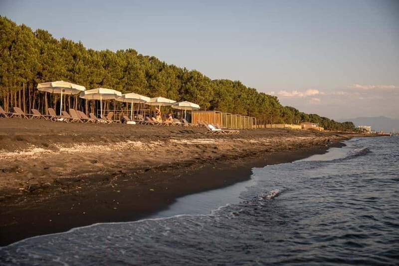 Black Sea: Magnetic Beach and Batumi Botanical Garden Tour - Final Thoughts