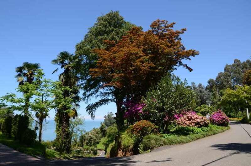 Black Sea: Magnetic Beach and Batumi Botanical Garden Tour - FAQ
