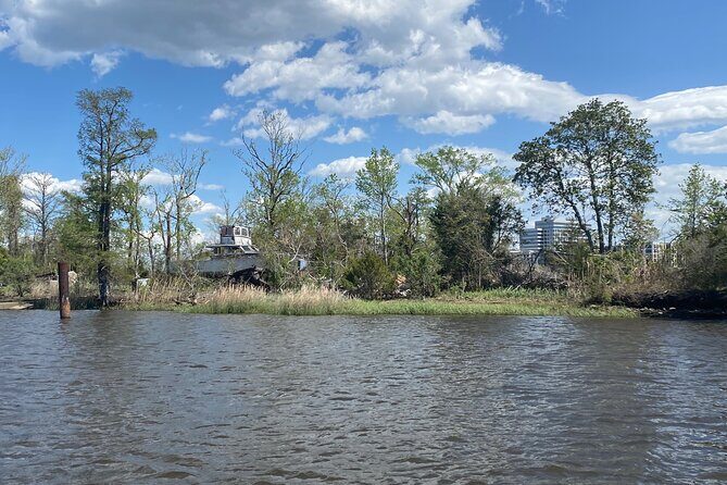 Black Water Adventure Cruise - Final Thoughts