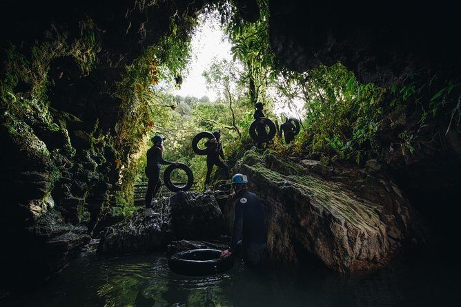 Black Water Rafting Experience Waitomo Caves Tour - Introduction