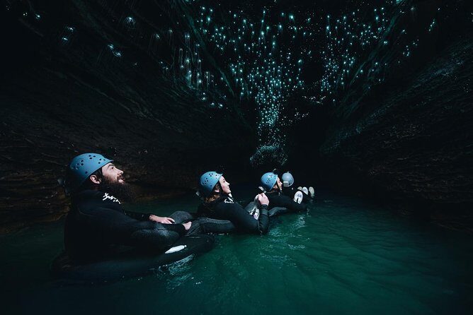 Black Water Rafting Experience Waitomo Caves Tour - What to Expect: Activities and Highlights