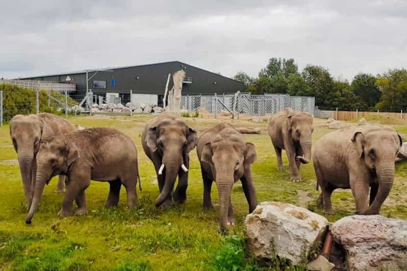 Blackpool: Zoo Admission Ticket - Key Points