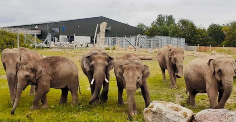 Blackpool: Zoo Admission Ticket - What to Expect at Blackpool Zoo