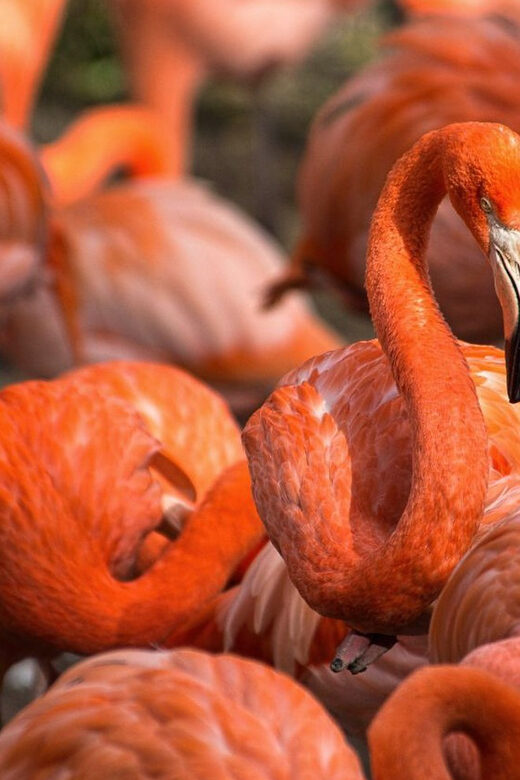 Blackpool: Zoo Admission Ticket - Practical Tips for Your Visit
