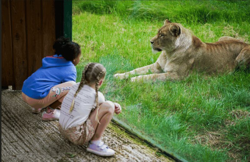 Blackpool: Zoo Admission Ticket - Who Should Consider Visiting Blackpool Zoo?