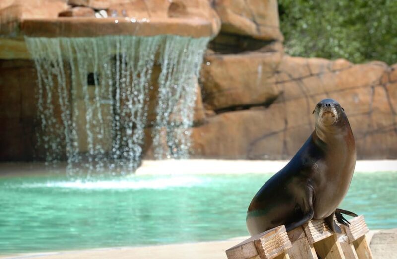 Blackpool: Zoo Admission Ticket - Final Thoughts