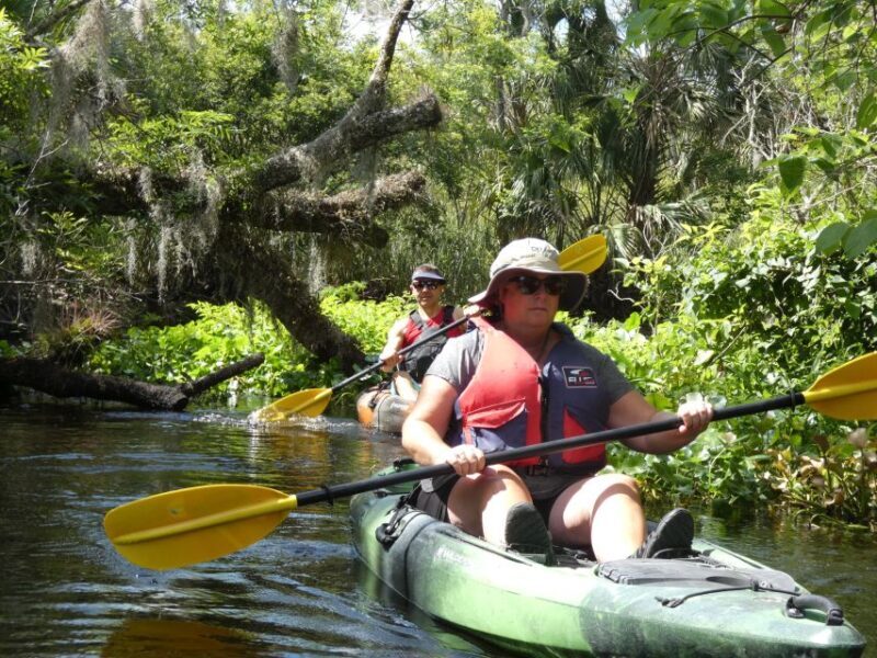 Blackwater Creek: Exclusive Nature Escape Kayak Adventure - An In-Depth Look at the Tour Experience