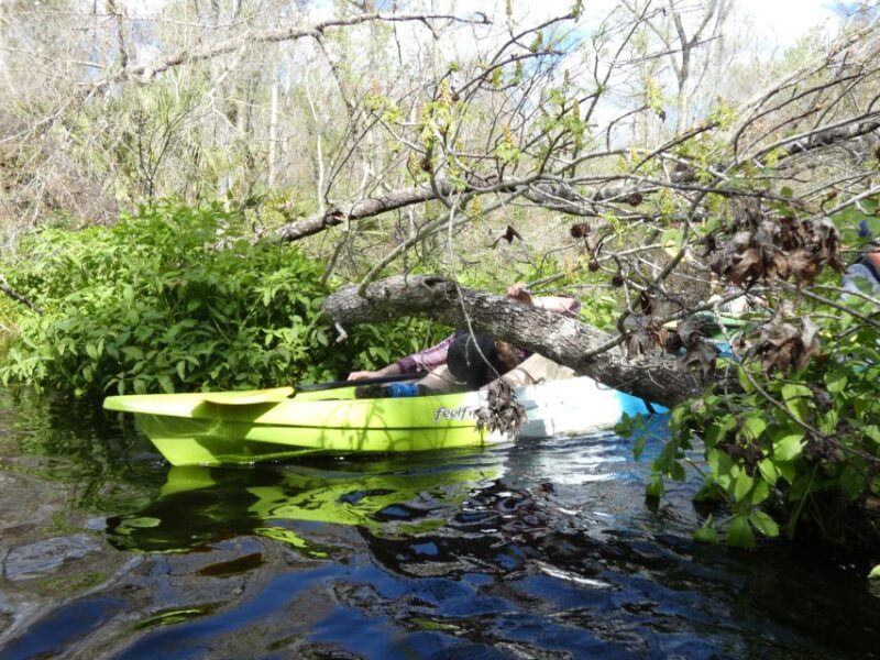 Blackwater Creek: Exclusive Nature Escape Kayak Adventure - The Itinerary in Detail