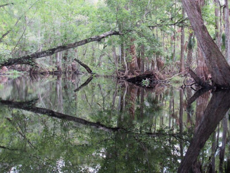 Blackwater Creek: Exclusive Nature Escape Kayak Adventure - FAQ