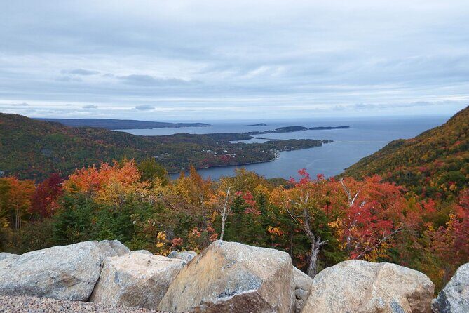 Blackwood Tours: 6 Hour Cabot Trail Tour in Cape Breton, NS - Final Thoughts