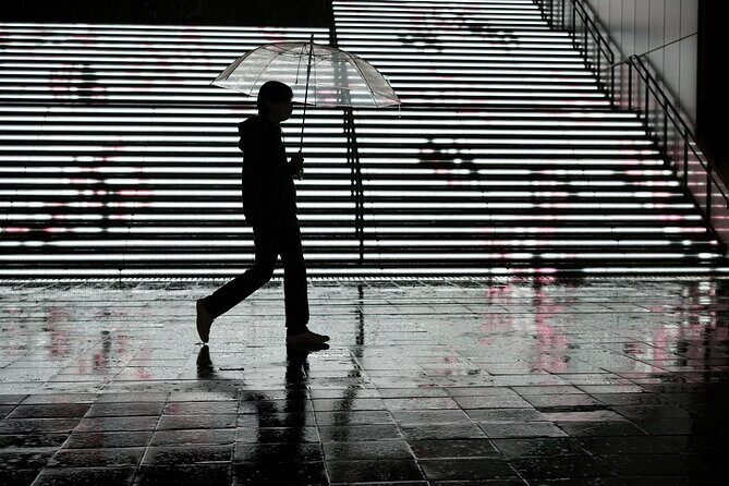 Blade Runner photo workshop in Shibuya with Laurence Bouchard - Detailed Itinerary & Highlights