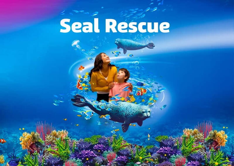 Blankenberge: SEA LIFE Entry Ticket - A Detailed Look at Blankenberge SEA LIFE