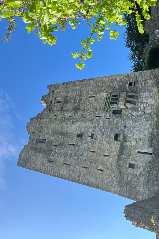 Blarney Castle and Cork City:Private taxi tour . - Cost & What’s Included