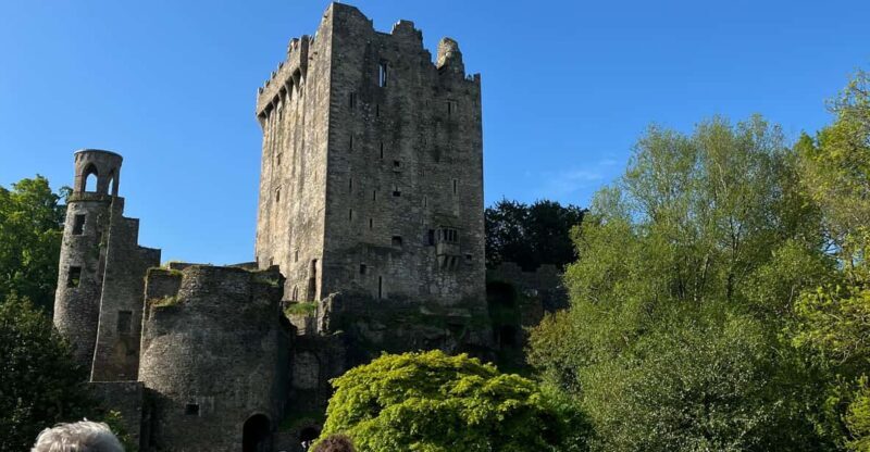 Blarney Castle and Cork City:Private taxi tour . - What’s Not Included