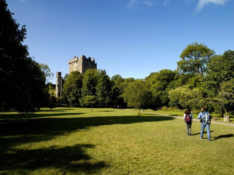 Blarney Castle Full-Day Tour from Dublin - Key Points