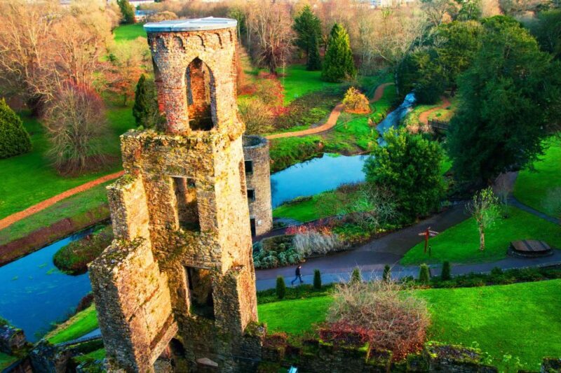 Blarney Castle & Rock of Cashel Private Car Trip from Dublin - An In-Depth Look at the Experience