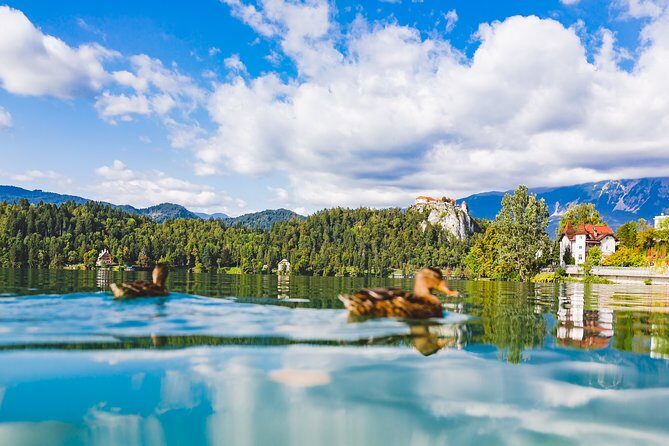 Bled & Bohinj lakes with Skofja Loka | Private trip from Ljubljana - Lake Bohinj and Tranquility