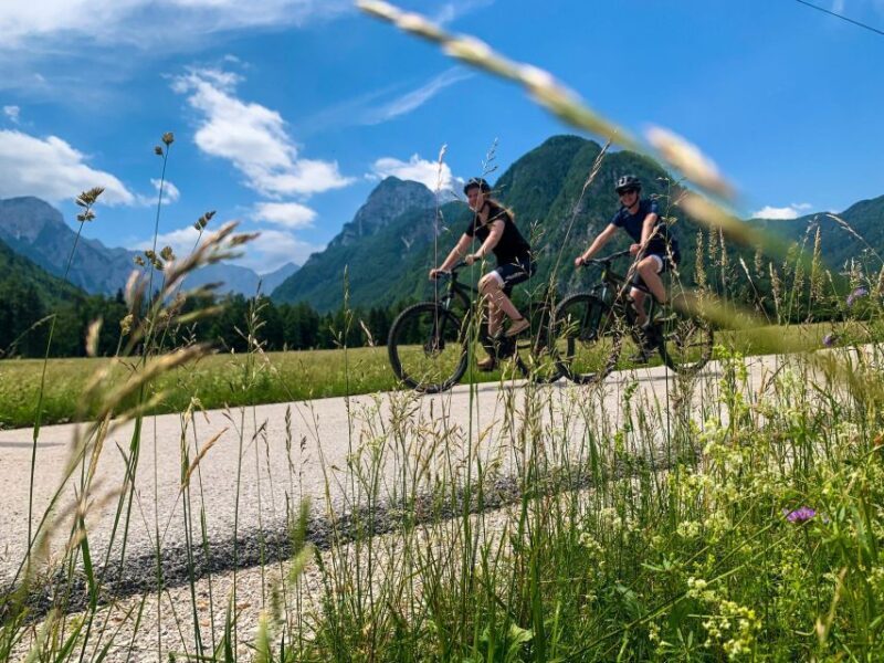 Bled: EBike Tour Lake Bled & Triglav National Park Private - Practical Details & Tips