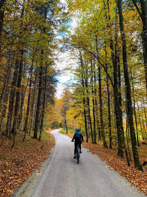 Bled: EBike Tour Lake Bled & Triglav National Park Private - The Sum Up: Who Should Consider This Tour?