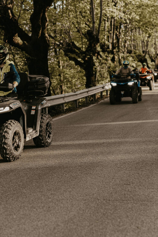 Bled: Full-Day Quad Rental - Key Points