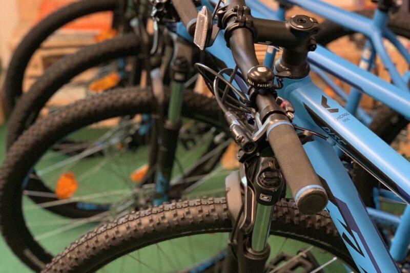 Bled: Mountain Bike Rental - Why Choose a Mountain Bike in Bled?