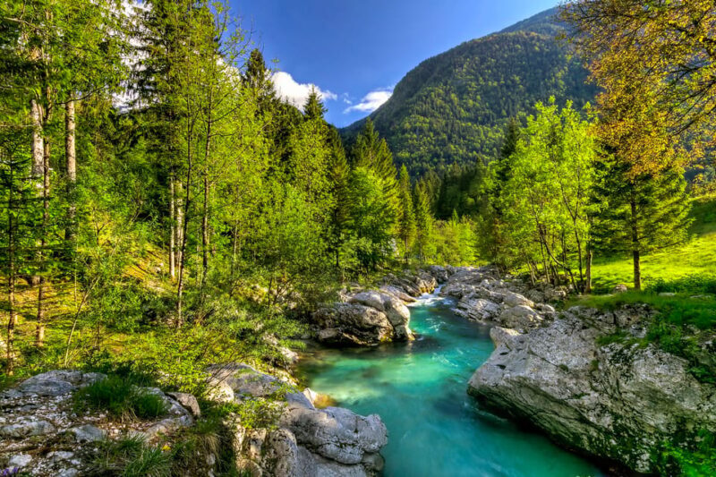 Bled: Soa River Experience - Who Is This Tour Perfect For?