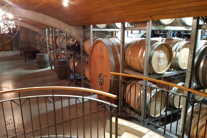Blenheim Half day Wine Tour - The Experience for Different Travelers