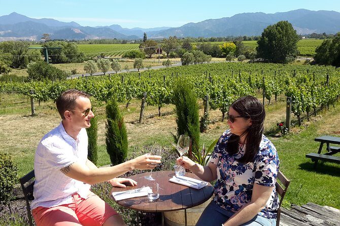 Blenheim Half day Wine Tour - The Sum Up