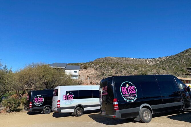 Bliss - Sedonas Most Luxurious Wine Tour - Lunch Included! - Reviews in Context