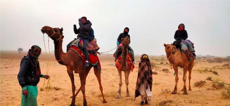 Blissful Half Day Sunset Camel Safari with Musical Evening - Who Should Consider This Tour?