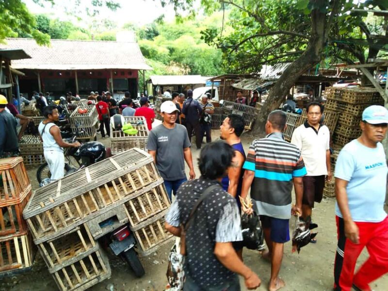 Blitar: Guided City Tour with Cycling and Toy Painting - Analyzing Value and Experience