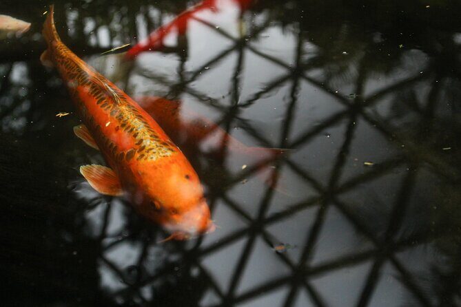 Bloedel Conservatory Admission Ticket - Key Points