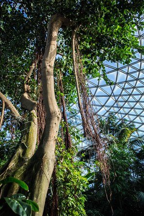 Bloedel Conservatory Admission Ticket - Frequently Asked Questions (FAQs)