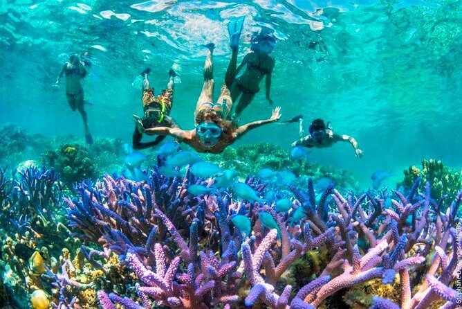 Bloo Lagoon Snorkeling East Bali Includes Transportation & Lunch - Introduction to the Experience