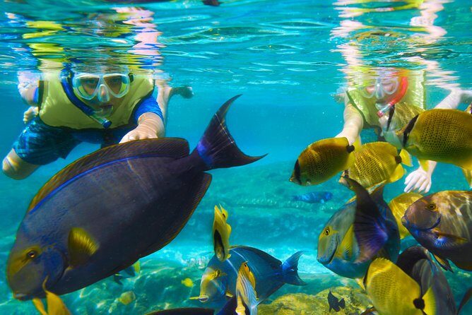 Bloo Lagoon Snorkeling East Bali Includes Transportation & Lunch - The Value of the Experience