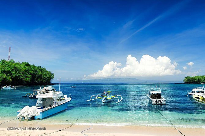 Bloo Lagoon Snorkeling East Bali Includes Transportation & Lunch - Who Will Love This Tour?