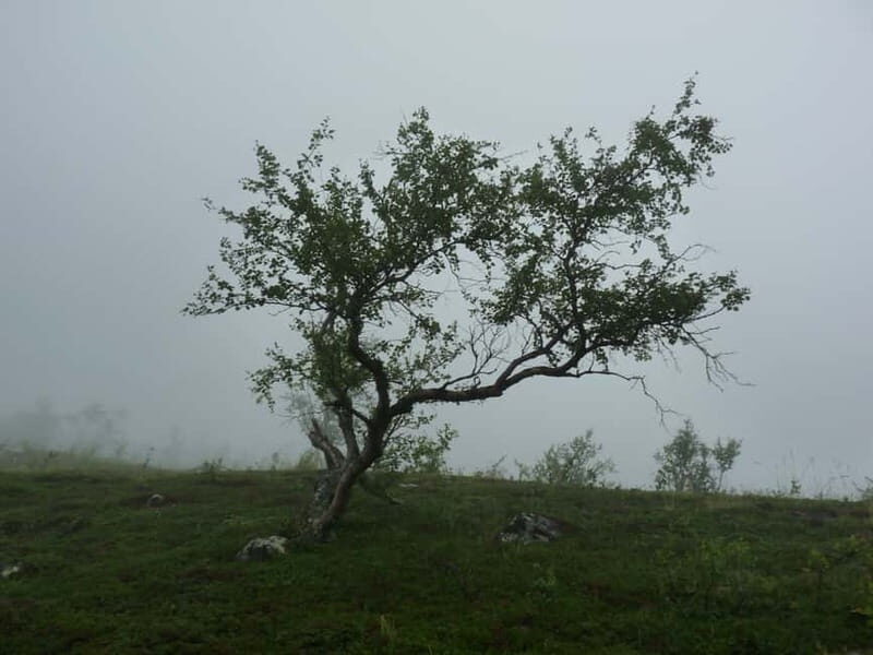 Bloody Stockholm: ghosts, horror and dark folklore 2h - Why This Tour Offers Good Value
