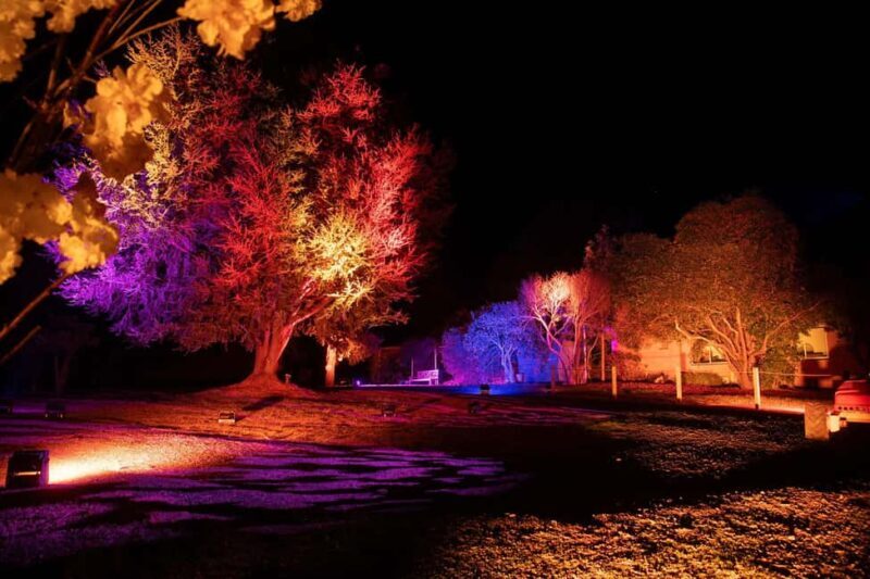 Blossom by Light at CherryHill - Practical Tips for Visitors