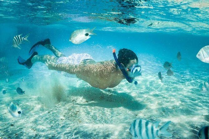 Blow Lagoon Bali Snorkeling and see Bali Bats Cave Temple - Comparing Similar Experiences