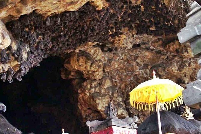 Blow Lagoon Bali Snorkeling and see Bali Bats Cave Temple - Who Might Not Find This Tour Perfect?