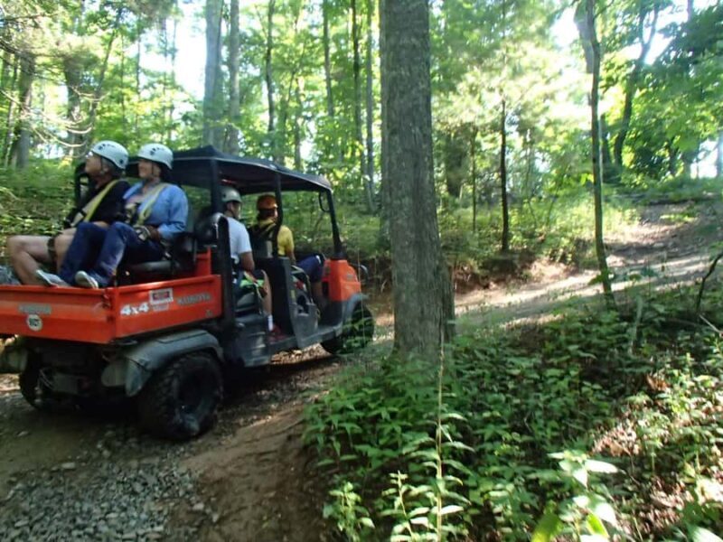 Blowing Rock: Zipline Adventure Tours with Waterfall Views - The Sum Up