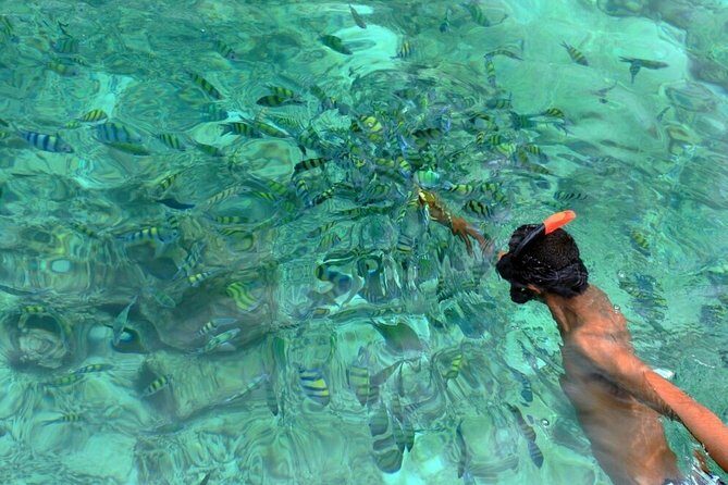 Blu Anda Catamaran to Phi Phi from Phuket - Key Points