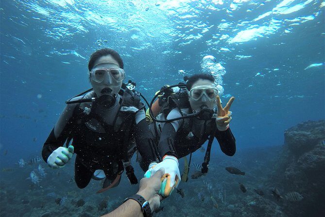 Blue Cave Area Experience Diving!Free feeding & photo images Chinese guide available!1 group with a dedicated instructor - Key Points