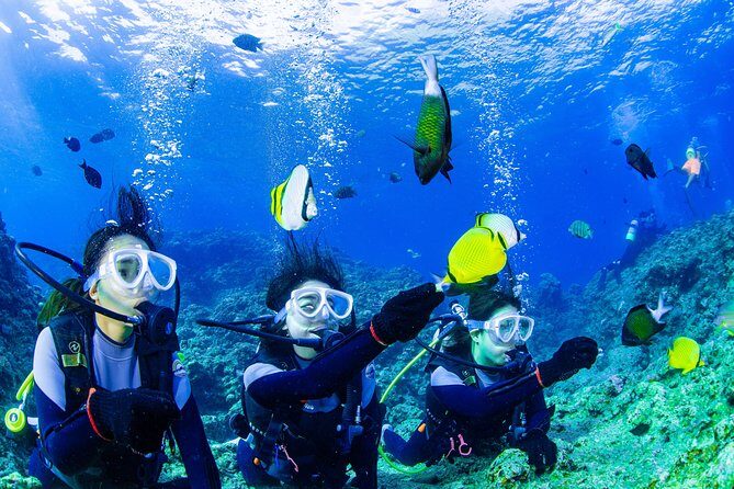 Blue cave experience diving [charter system / boat holding] | I am very satisfied with the beautiful facilities of the shop - The Itinerary Breakdown