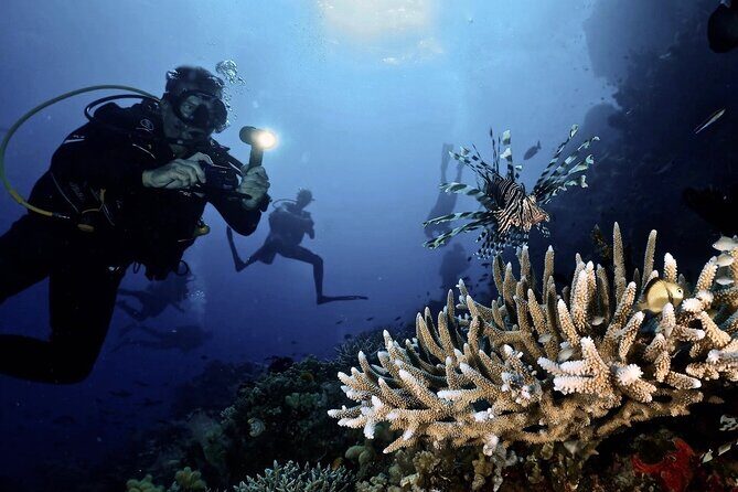 Blue Dive Private Guided Scuba Dive Cairns - FAQ