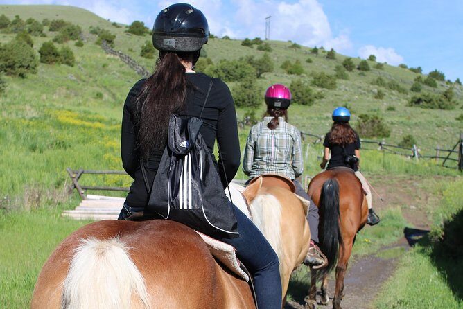 Blue Flower Trail Ride - Discover the Blue Flower Trail Ride in Montana: A Genuine Adventure