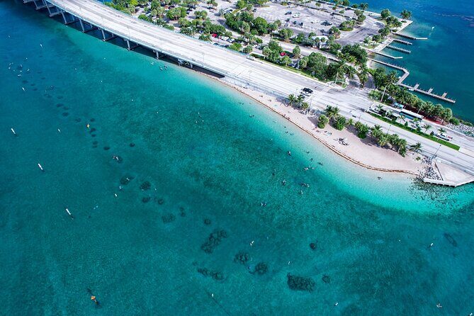 Blue Heron Bridge Guided Snorkel Tour - The Value of Guided Snorkeling
