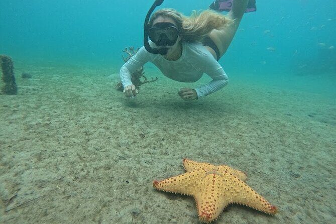 Blue Heron Bridge Guided Snorkel Tour - Frequently Asked Questions