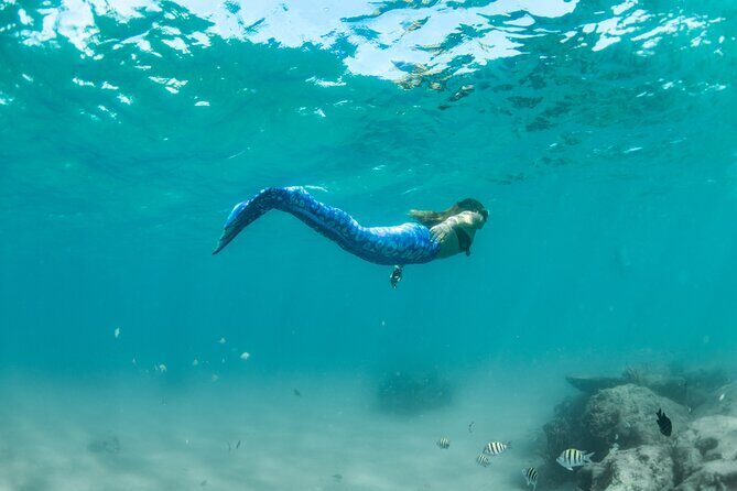 Blue Heron Bridge Mermaid Experience - FAQ
